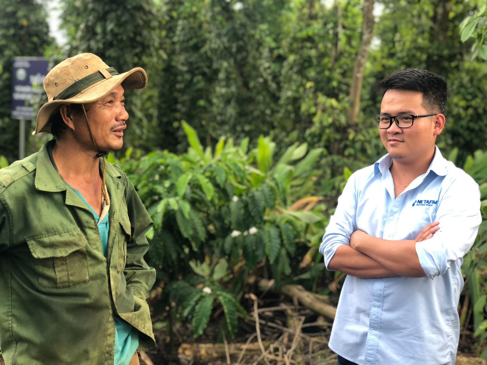 Crop Knowledge - Increase Crop Yield With Agronomic Advice | Netafim