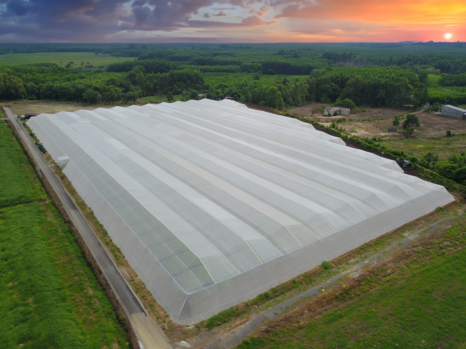 Greenhouse structures